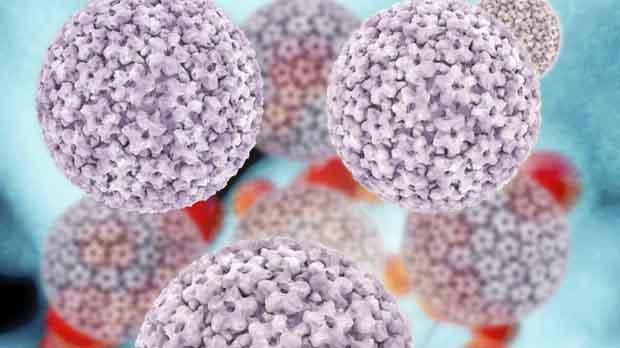Infections (e.g. HPV) and cancer | Cancer Research UK