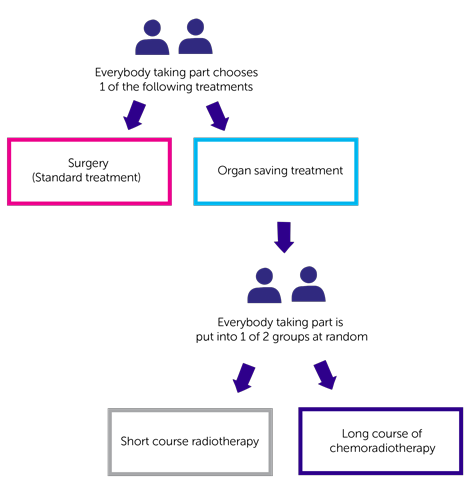 A trial looking at surgery or different types of radiotherapy for ...