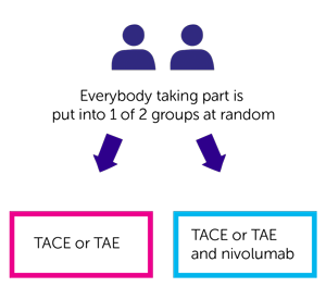 A trial of nivolumab and TACE or TAE for cancer of the liver (TACE 3 ...