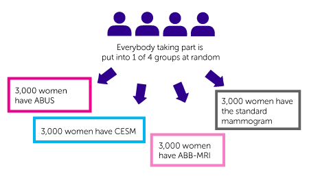 A study comparing breast scans to diagnose small breast cancers in ...