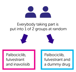 A trial looking at a new drug called inavolisib for breast cancer that has spread (WO41554 ...