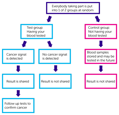 A trial looking at a new blood test to screen for cancer (NHS Galleri ...