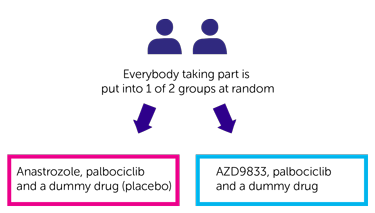 A trial of AZD9833 for breast cancer (SERENA-4) | Cancer Research UK