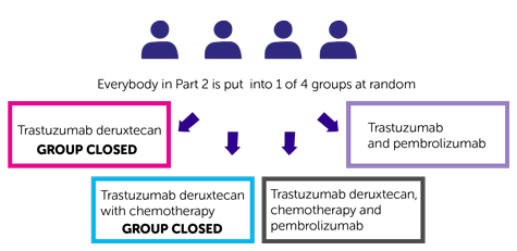 A trial of trastuzumab deruxtecan for stomach cancer (DESTINY-Gastric03 ...