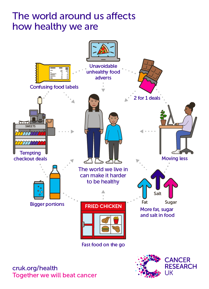 What Causes Obesity Cancer Research Uk