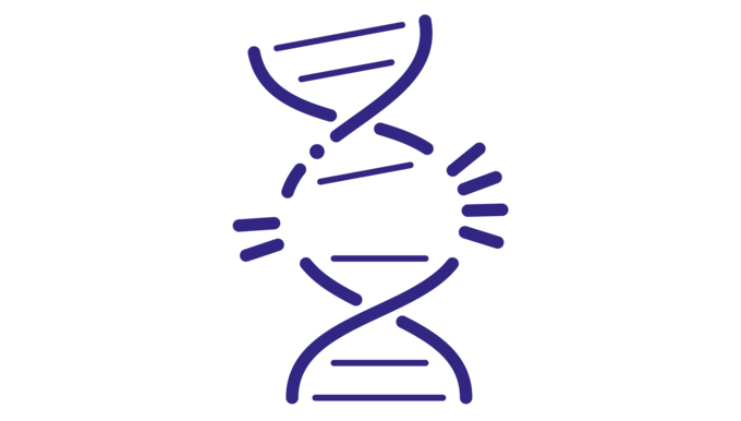 Can cancer be prevented? | Cancer Research UK