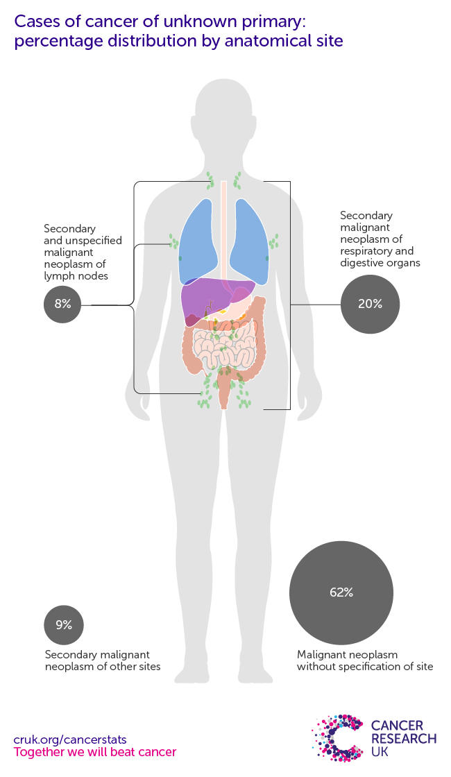 Cancer of unknown primary incidence statistics | Cancer Research UK